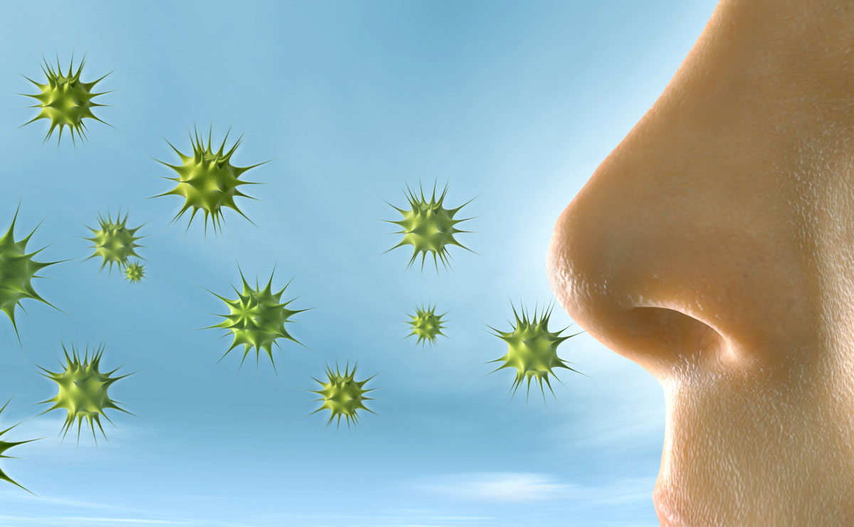 Wann kehrt der Geruchssinn zurück?