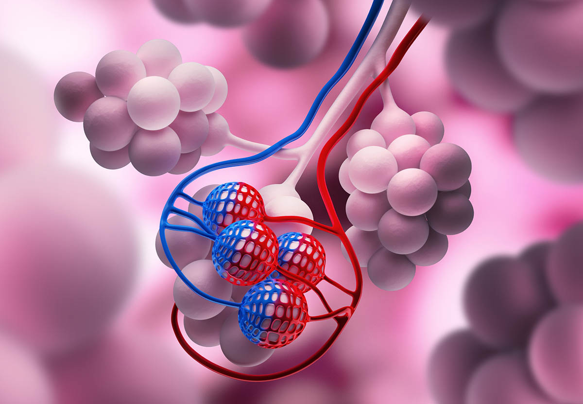 Alter Bekannter gibt als neues Medikament gegen COPD Hoffnung