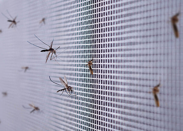Das ändert sich bei den BtM-Höchstmengen