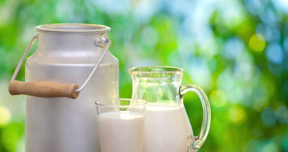 Die Milch macht‘s?